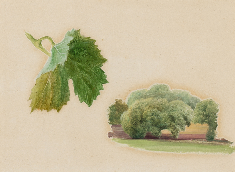 BRETT John A.R.A. (1831-1902) – Studies of a grape-vine and trees ...