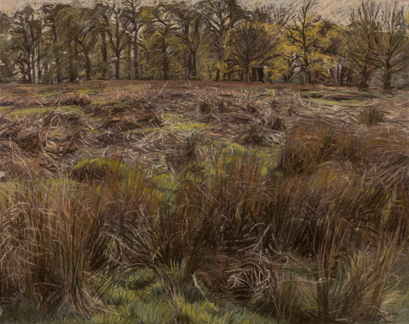 BRAMHAM Christopher (b.1952) – ‘Richmond Park, Spring – Evening ...