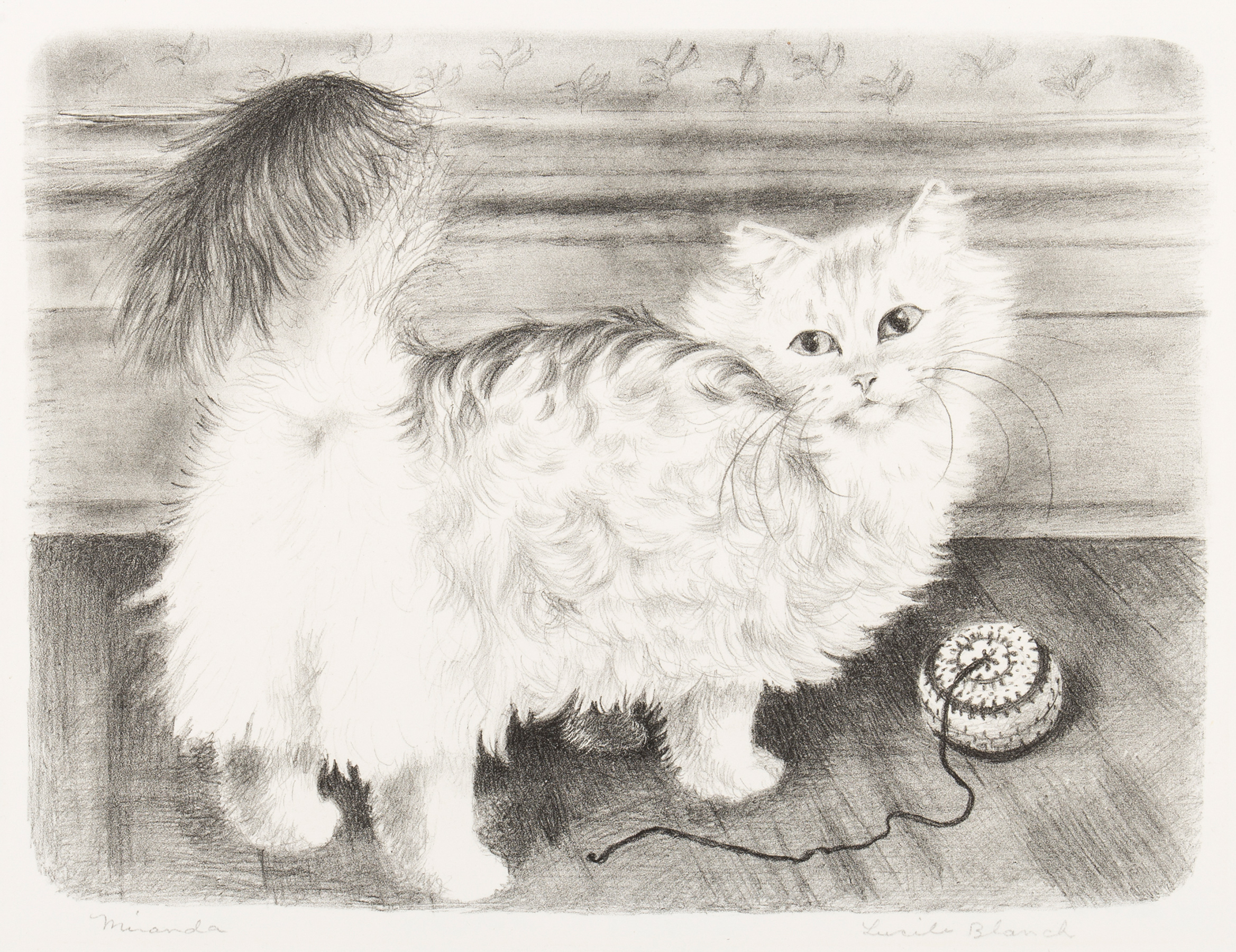 BLANCH Lucile (USA 1895-1981) – ‘Miranda’. | ABBOTT and HOLDER