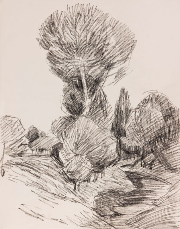 BEVAN Robert (1865-1925) – Study of trees; Poland. | ABBOTT and HOLDER