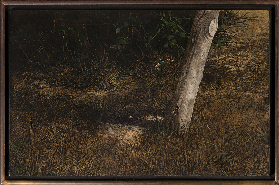 EMBREY Carl (b.1958) – ‘Fence line’. | ABBOTT and HOLDER