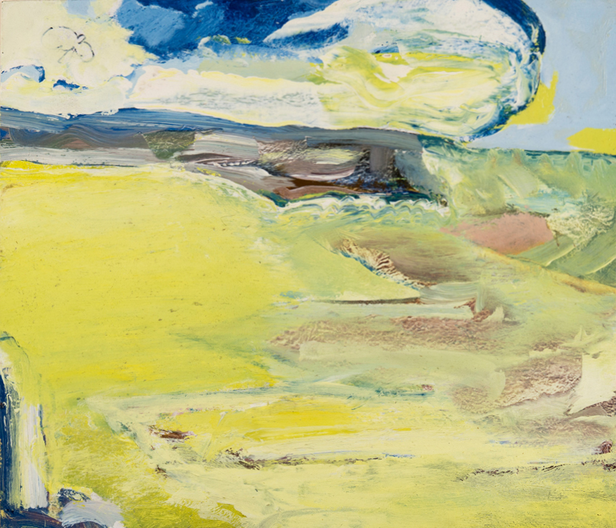 HYATT Derek (1931-2015) – ‘Windy day for lapwings’. | ABBOTT and HOLDER