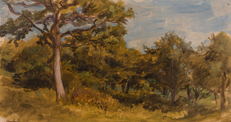 LINNELL William (1826-1901) – Woodland study. | ABBOTT and HOLDER