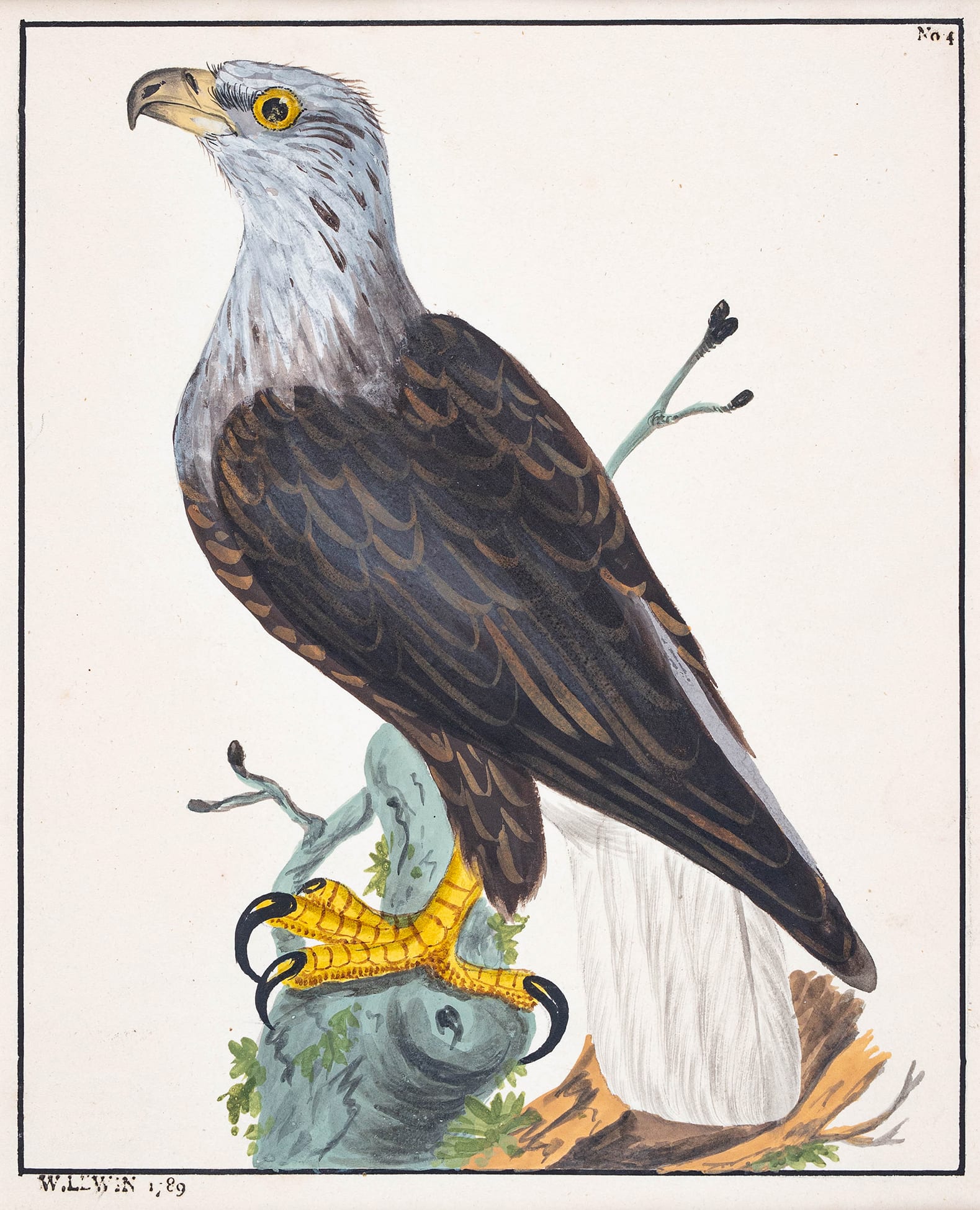 LEWIN William (1747-1795) and Sons (Thomas, Thomas William and John ...