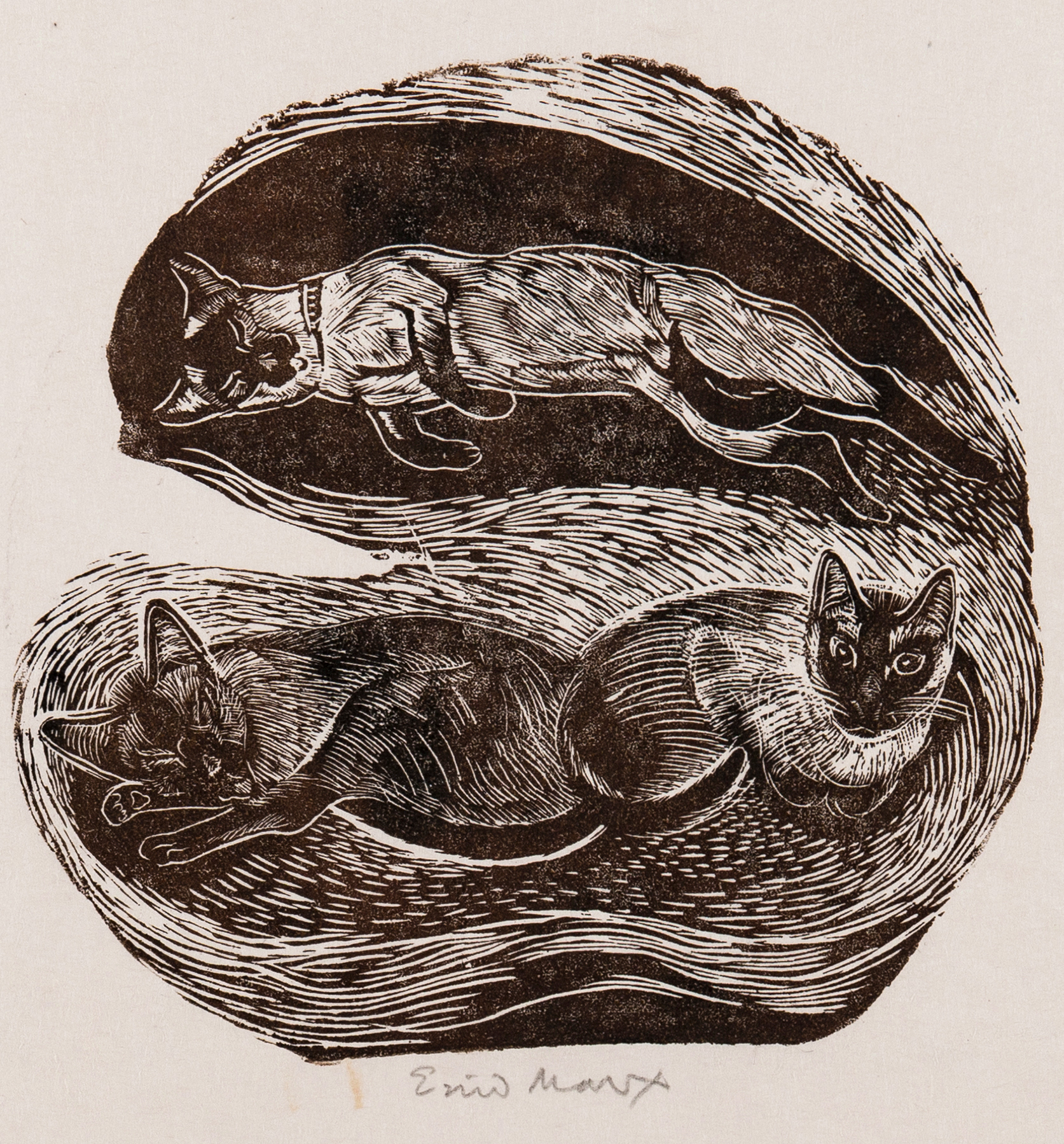 MARX Enid R.D.I. (1902-1998) – ‘Leonard Woolf’s cat, and friends ...