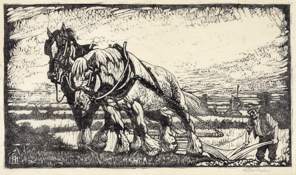 MACKEY Haydn Reynolds (1883-1979) – The Plough Team. | ABBOTT and HOLDER