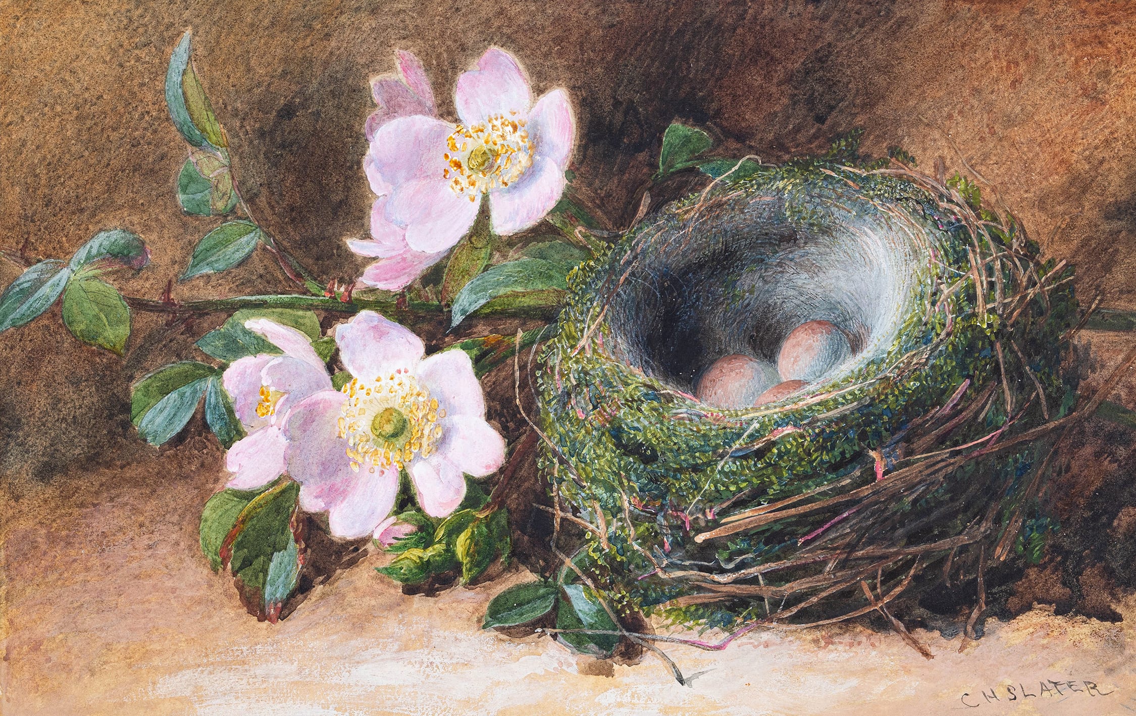 SLATER Charles (1820-1890) – Still-life: dog roses and bird’s nest ...