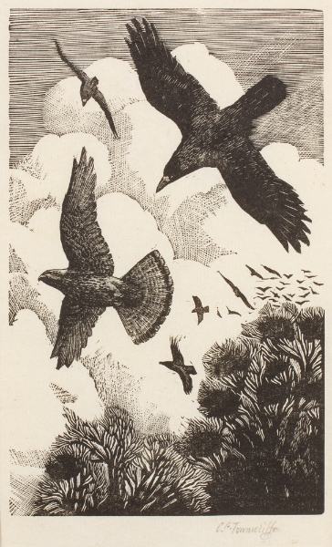 TUNNICLIFFE Charles Frederick O.B.E. R.A. R.E. (1901-1979) – Rooks ...