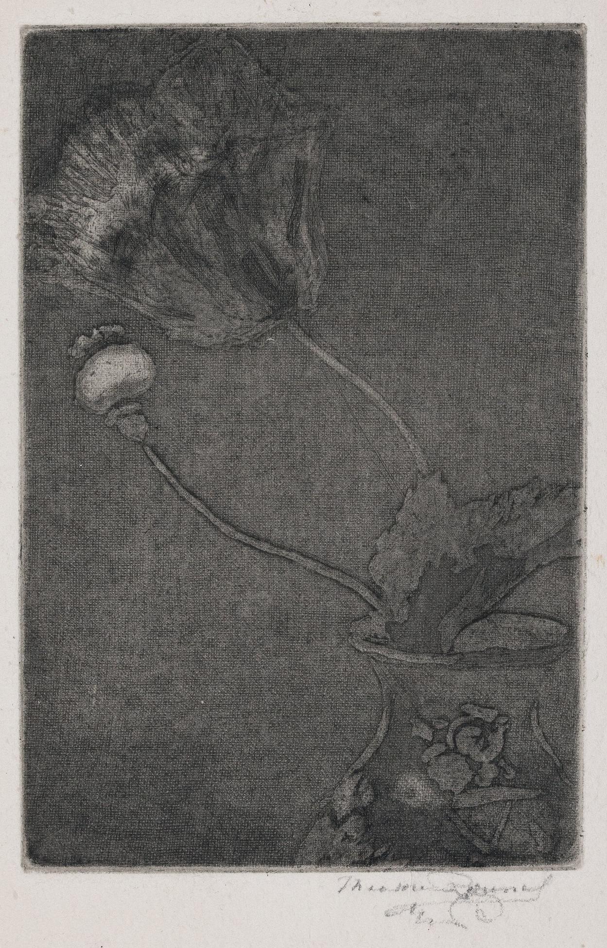 Roussel, Theodore Casimir (1847 – 1926) – Poppies (Hausberg 44 ...