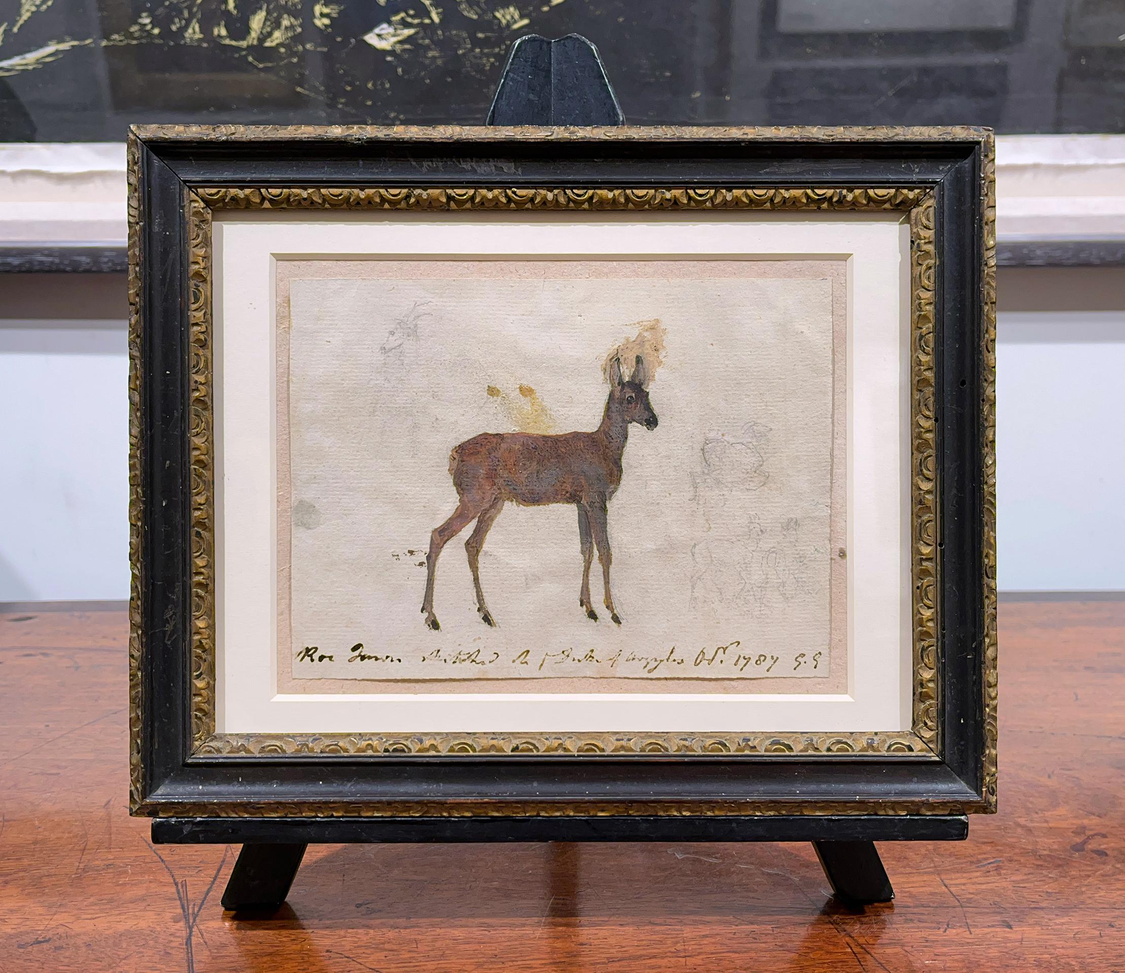 Garrard, George (1760 – 1826) – ‘Roe Fawn Sketched at the Duke of ...