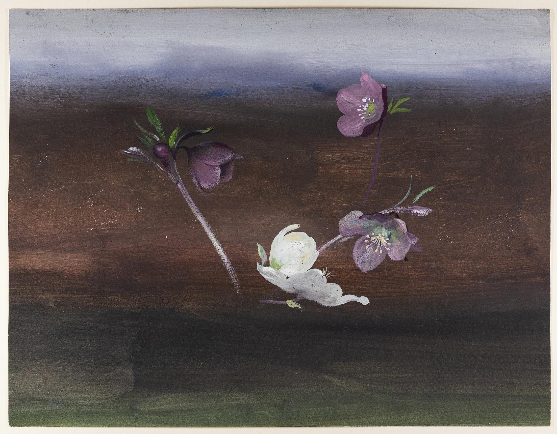 Clifford, Edward (1844 – 1907) – Still life and landscape. | ABBOTT and ...