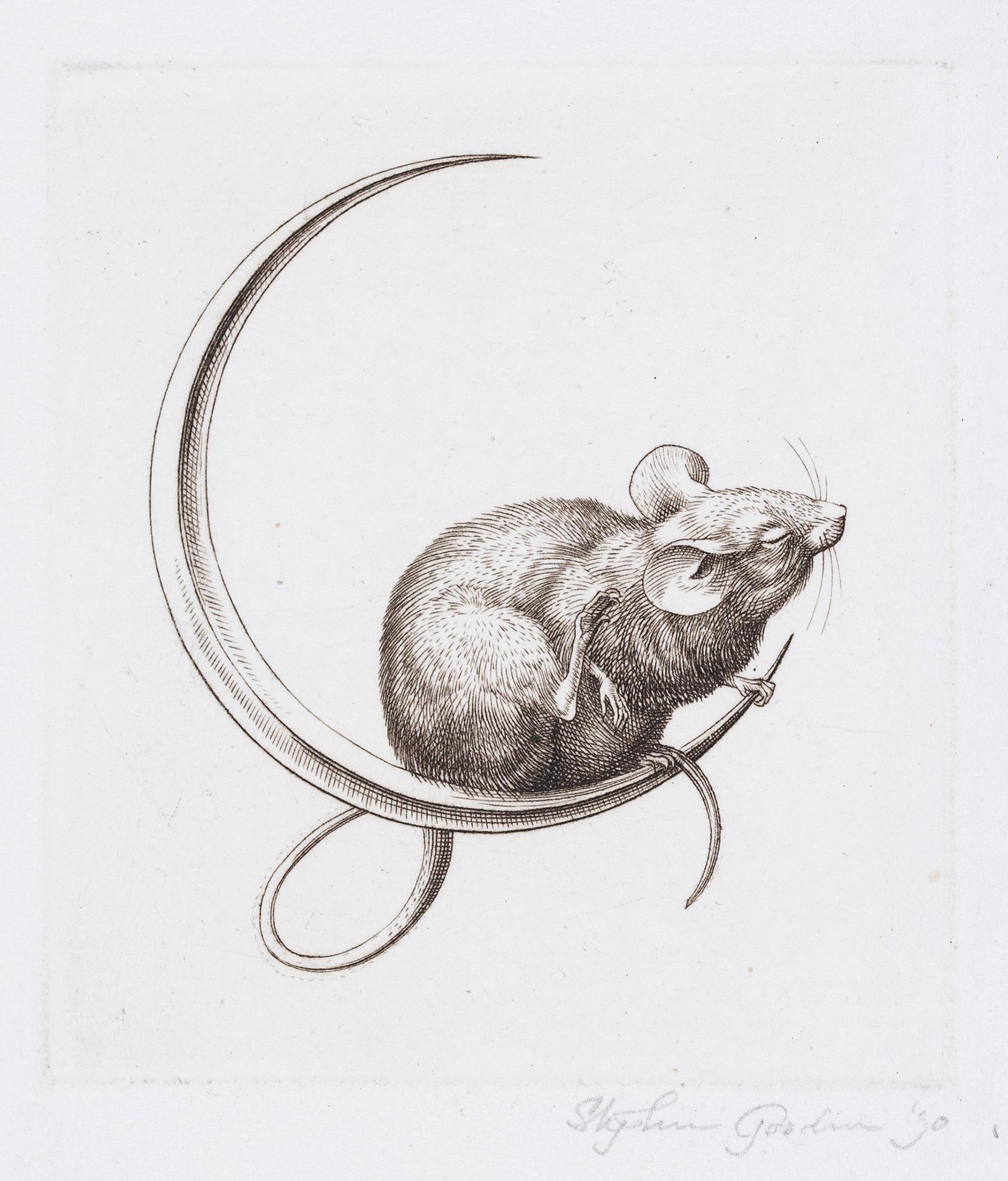 Gooden, Stephen (1892 – 1955) – ‘An Animal in the Moon’. | ABBOTT and ...