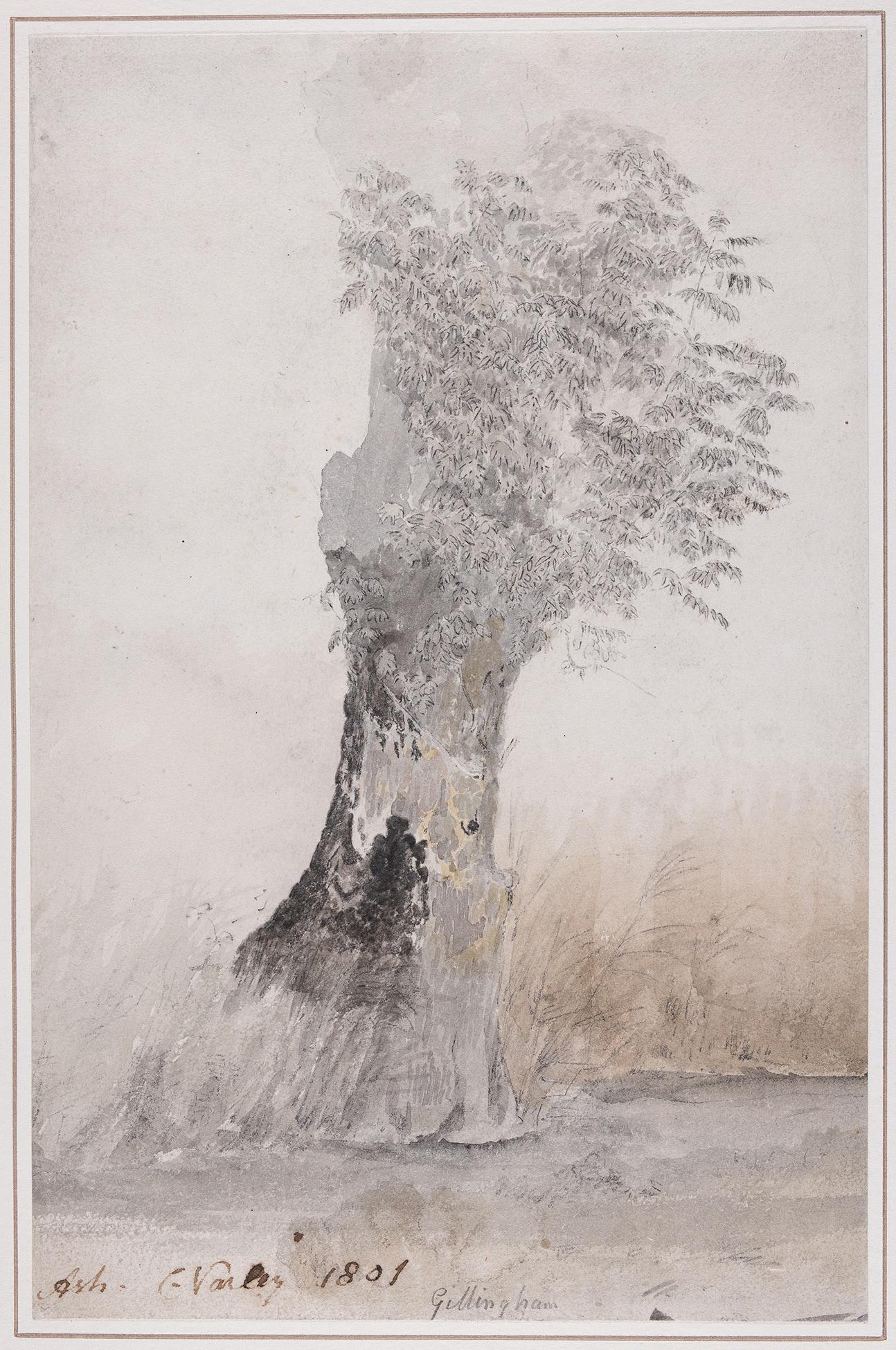 Varley F.R.S.A., Cornelius (1781 – 1873) – Kent; ‘Ash’ at ‘Gillingham ...