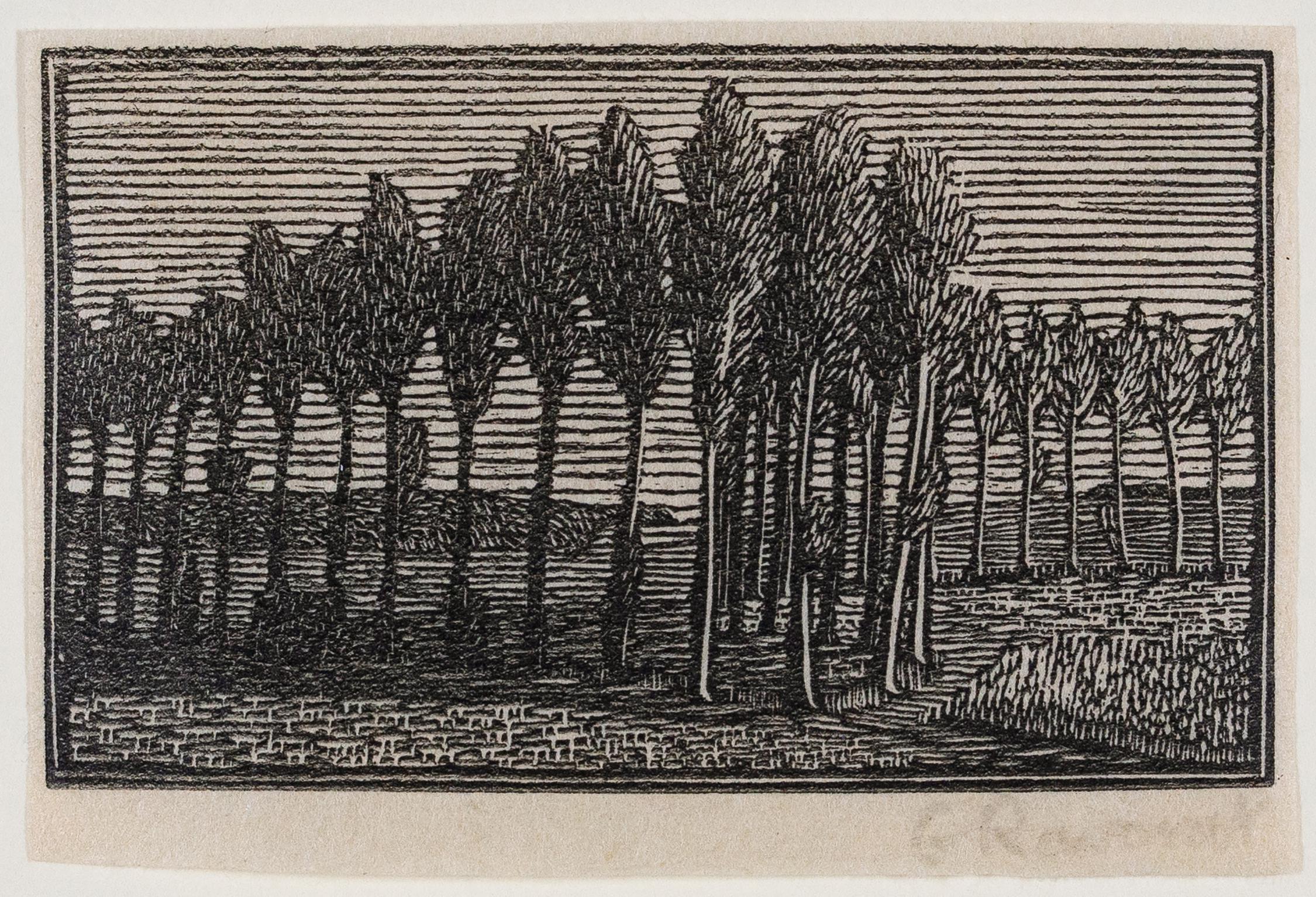 Raverat S.W.E., Gwen (1885 – 1957) – ‘Poplars’ (SN63). | ABBOTT and HOLDER