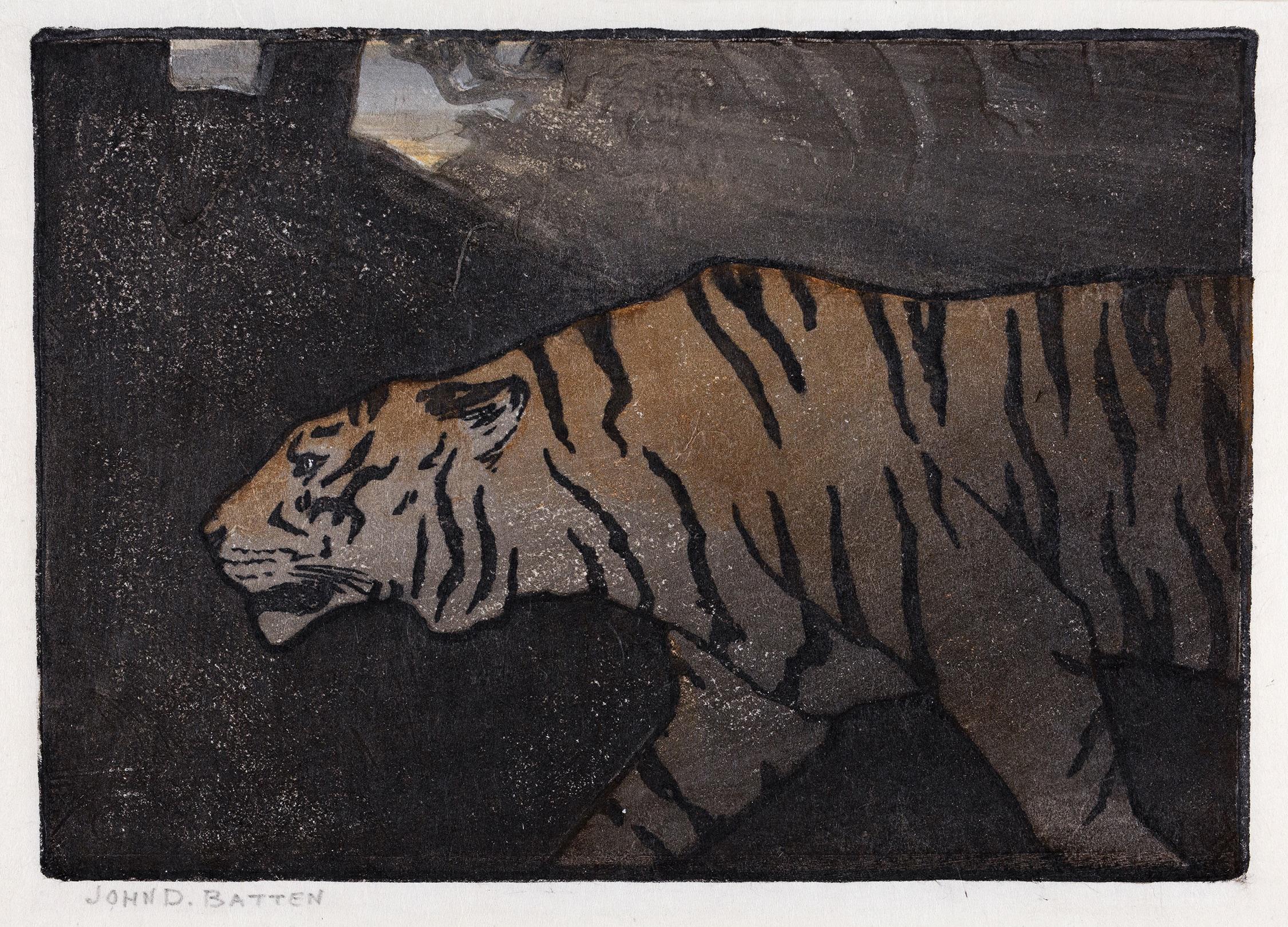 Batten, John Dickson (1860 – 1932) – Tiger. | ABBOTT and HOLDER