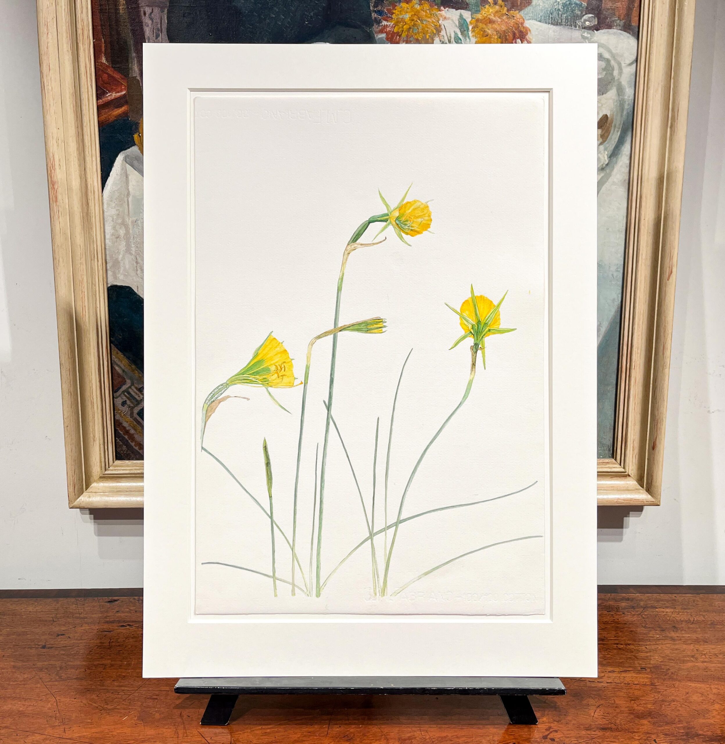 Stone (Contemporary), Dylan Jonas – Daffodils. | ABBOTT and HOLDER