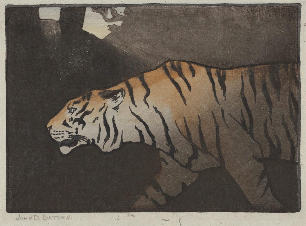 Batten, John Dickson (1860 – 1932) – Tiger. | ABBOTT and HOLDER