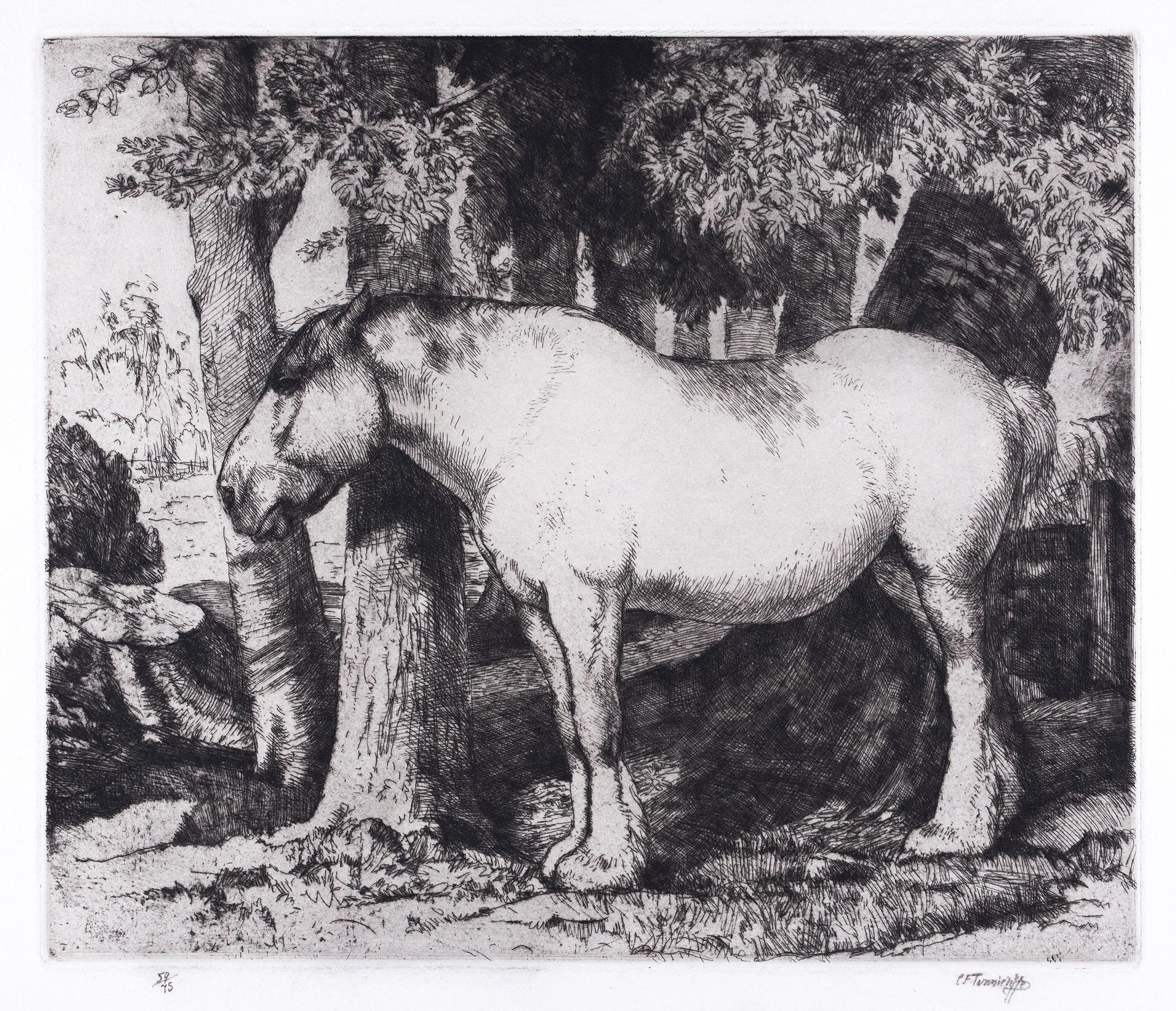 Tunnicliffe R.A. R.E., Charles Frederick (1901 – 1978) – ‘The White ...