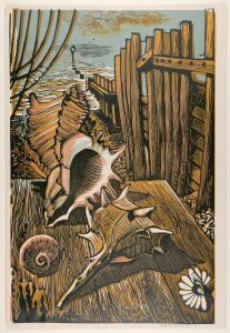 SUMMER SELECTION 2024 | ABBOTT and HOLDER