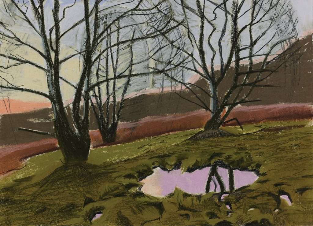 TOR FALCON – Sugar Beet Moon | ABBOTT and HOLDER