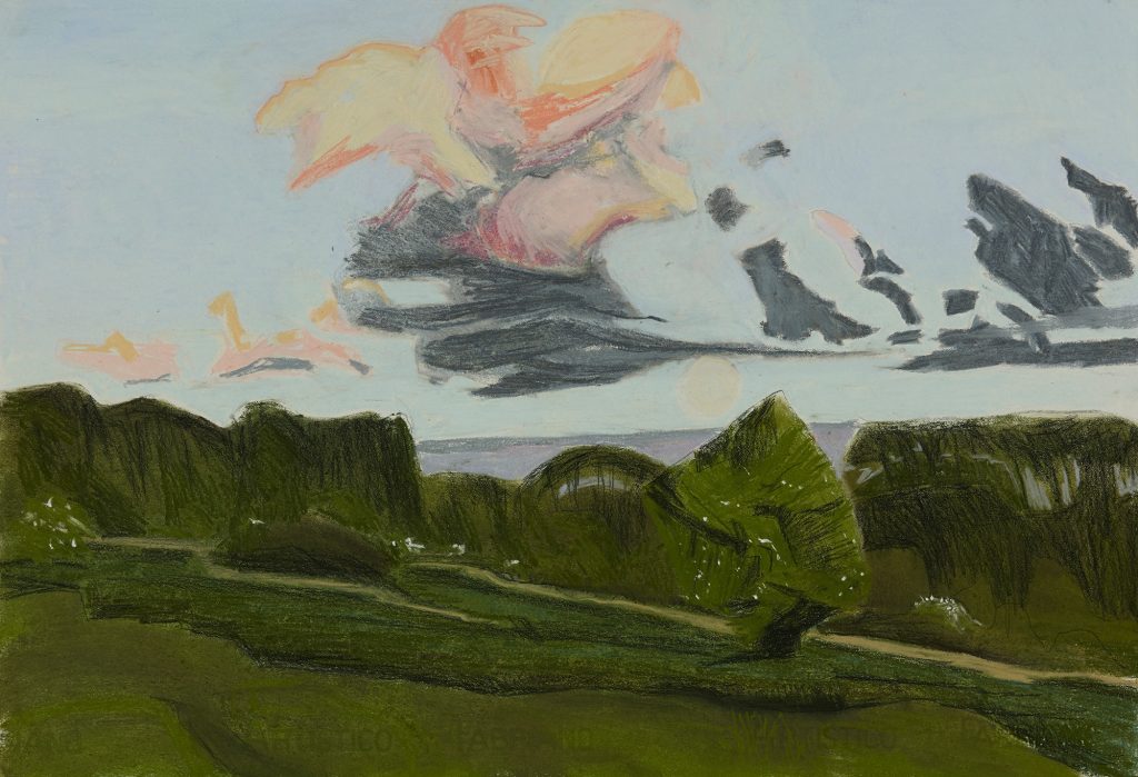 TOR FALCON – Sugar Beet Moon | ABBOTT and HOLDER