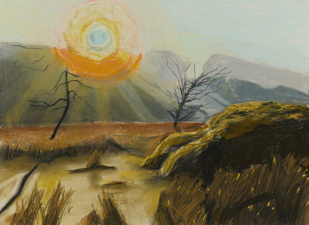 TOR FALCON – Sugar Beet Moon | ABBOTT and HOLDER