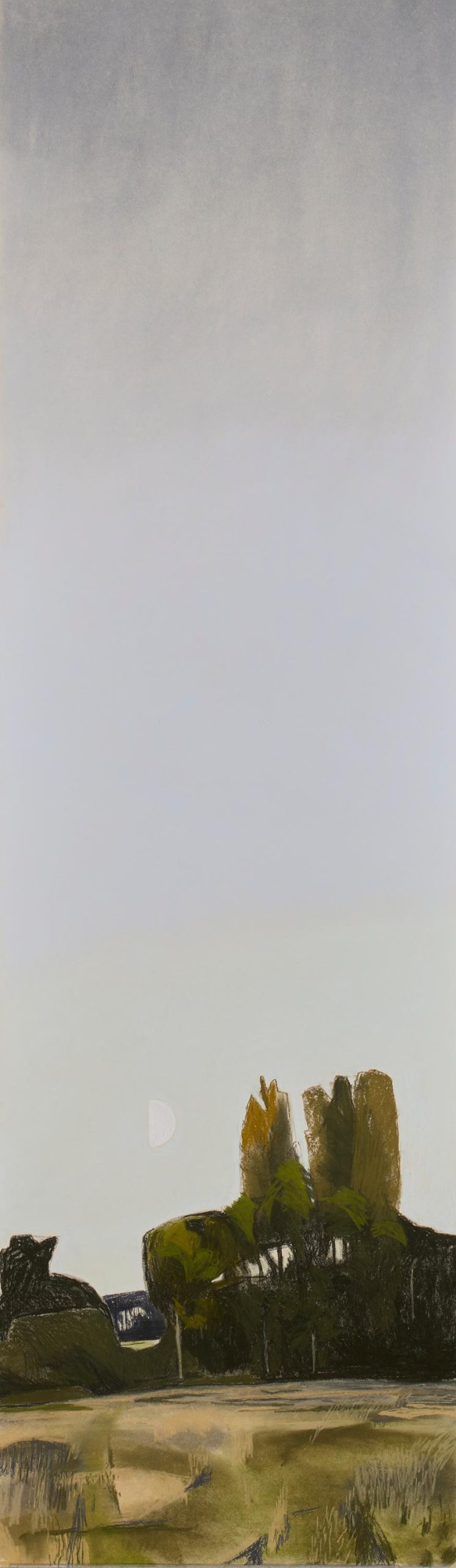 Falcon, Tor – First Quarter. 13th October, 2021. | ABBOTT and HOLDER