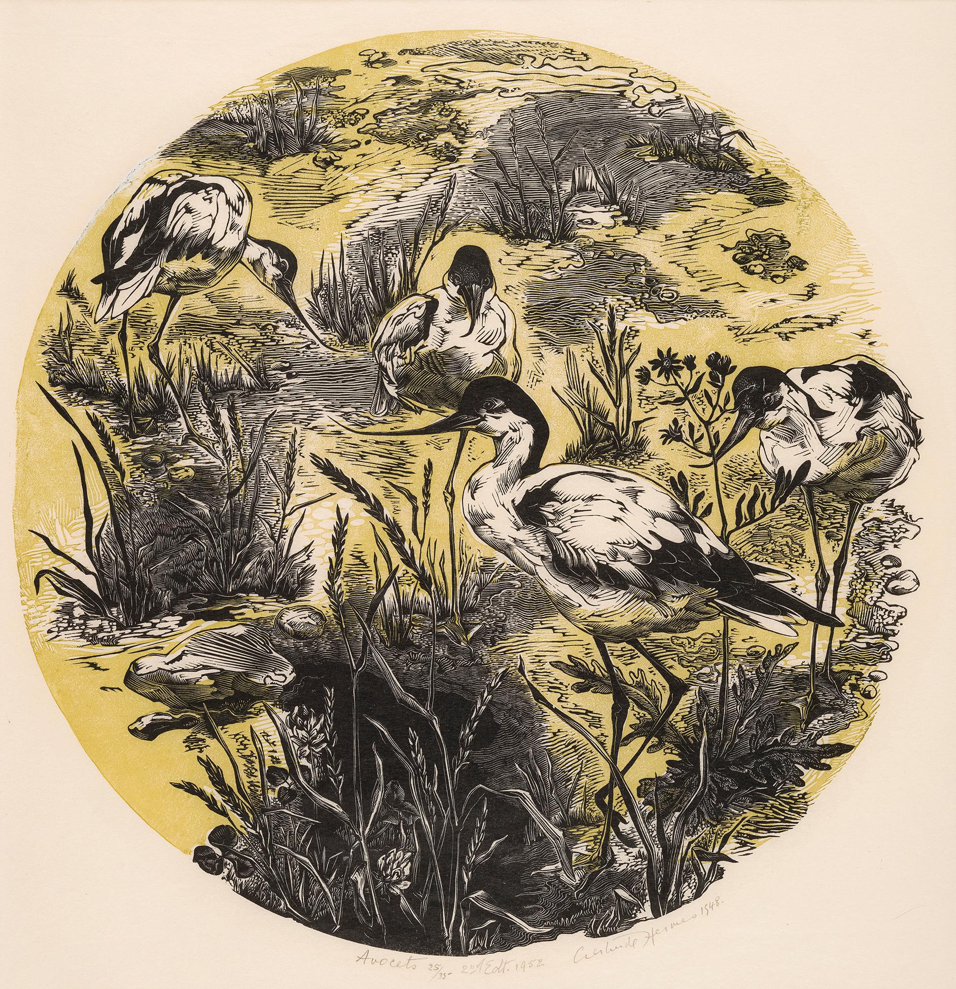 Hermes R.A., Gertrude (1901 – 1983) – ‘Avocets’. | ABBOTT and HOLDER