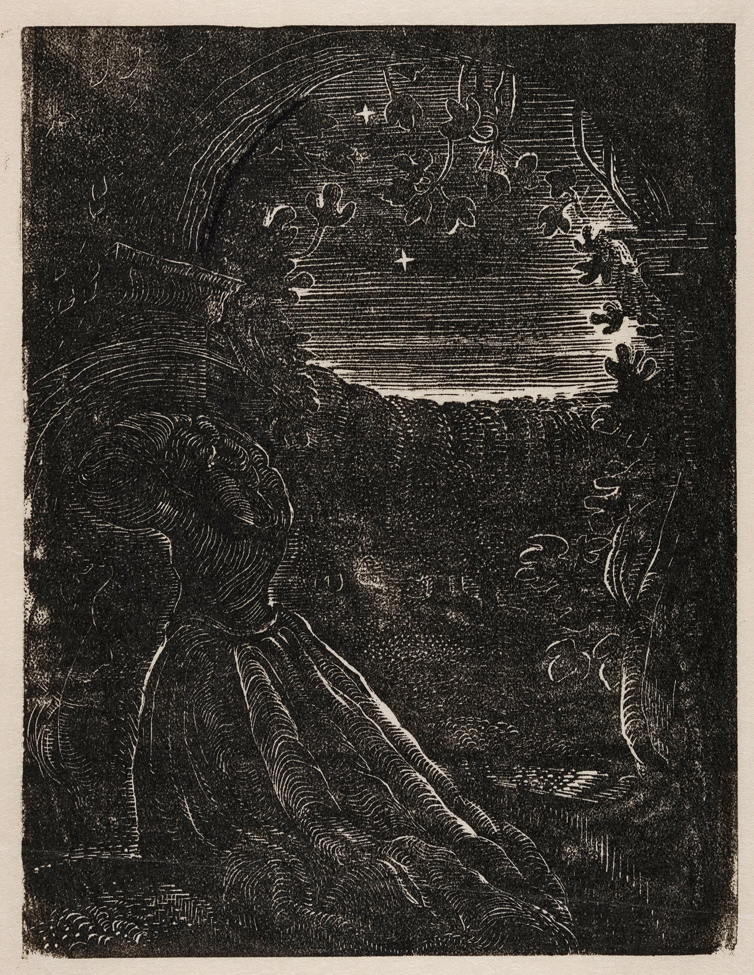 Headlam, Mary (1874 – 1959) – ‘The Rose and the Elf’; an illustration ...