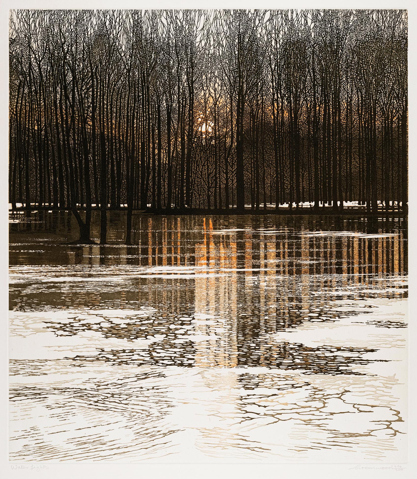 Greenwood R.E., Phil (born 1943) – ‘Water Lights’. | ABBOTT and HOLDER