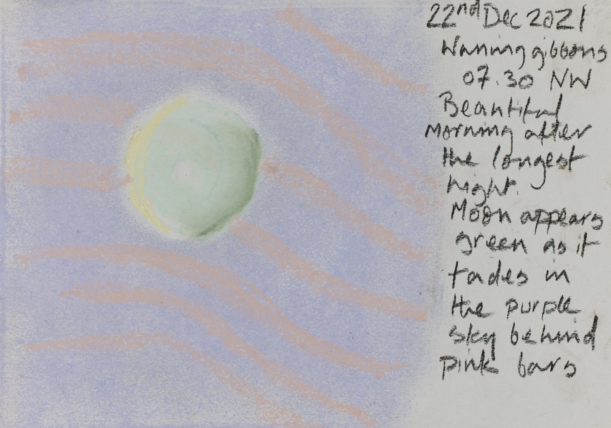 Falcon, Tor – 22nd December 2021. | ABBOTT and HOLDER