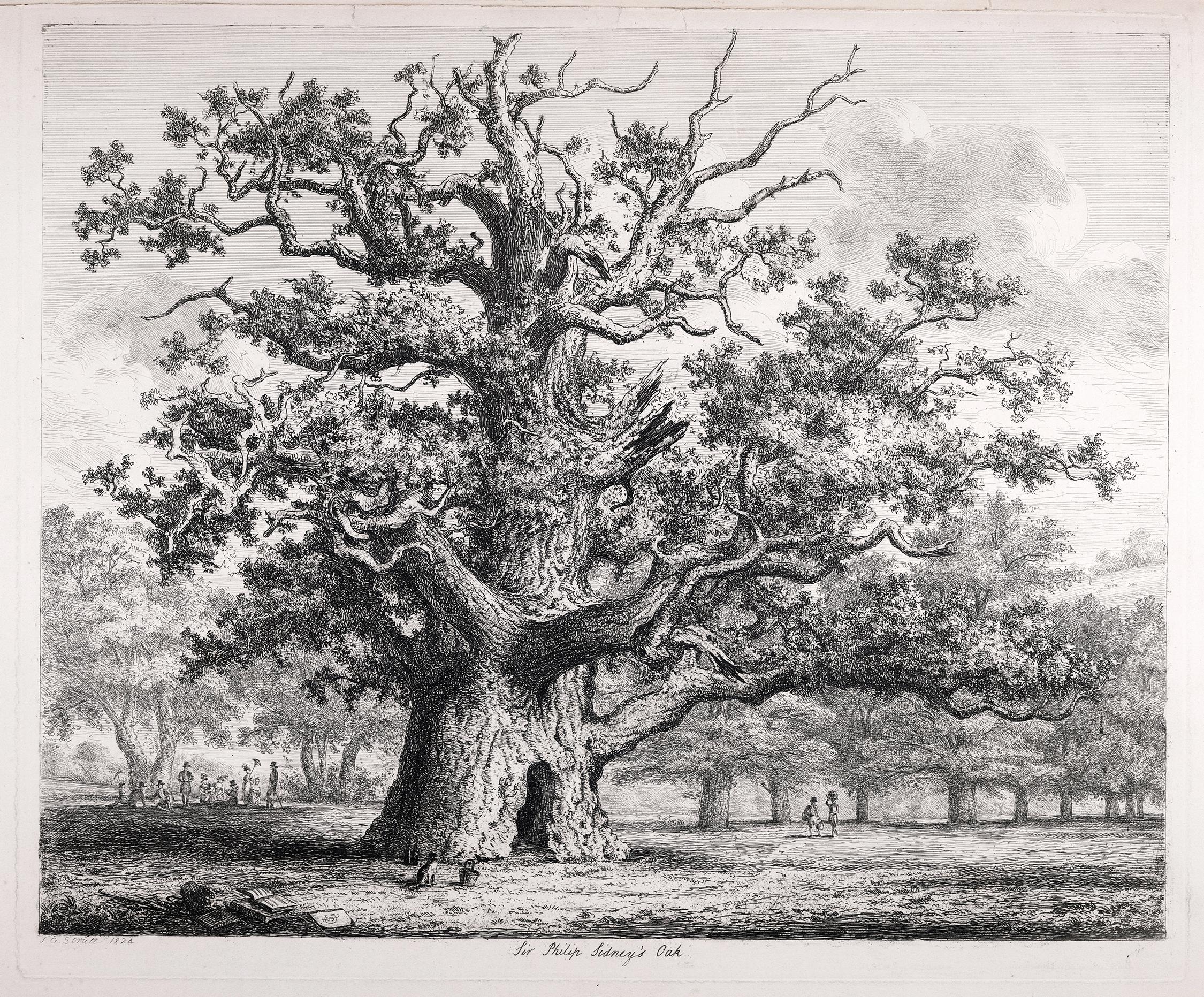 Strutt, Jacob George (1790 – 1864) – ‘Sir Philip Sidney’s Oak ...